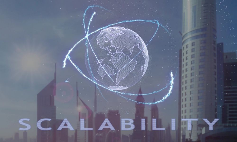 Director Identification Numbers Guide | Standard Ledger